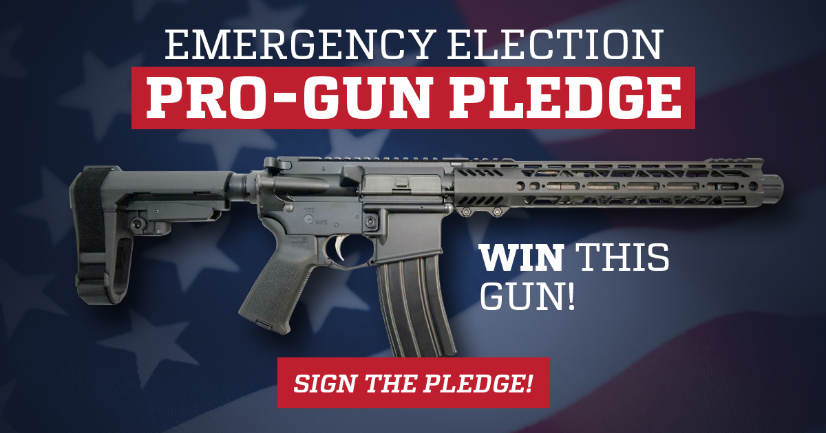 Emergency Election Pro-Gun Pledge